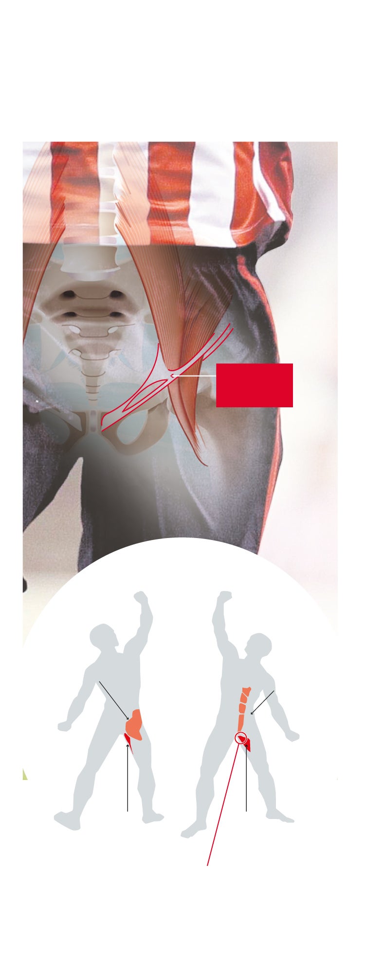 Así es la pubalgia, la lesión que se ceba con jóvenes estrellas como ...