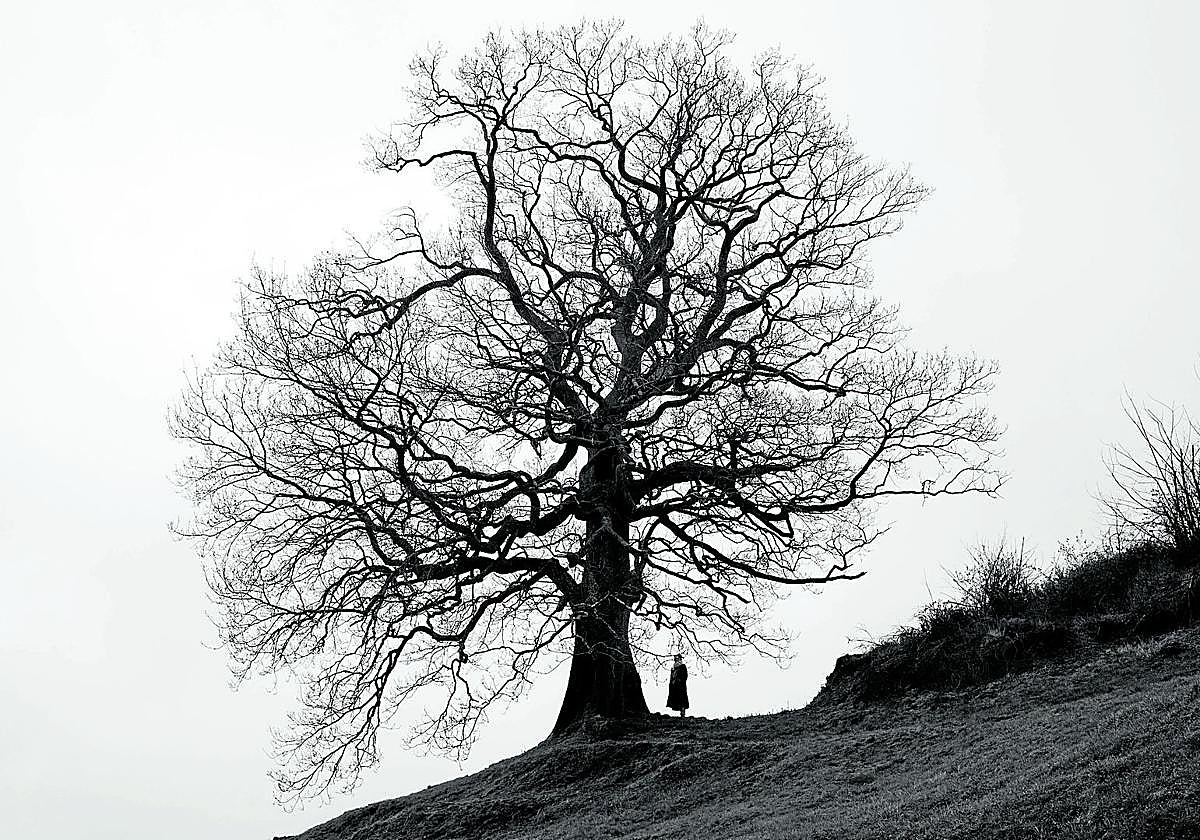 La fotografía sobre árboles singulares une a los Museos Etnográfico y ...