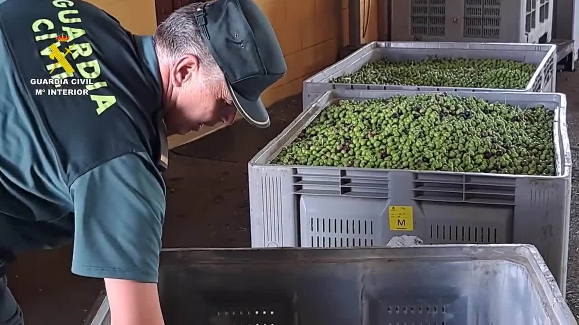 Intervenidos 400 litros de aceite con etiquetado falso y más de 91 ...