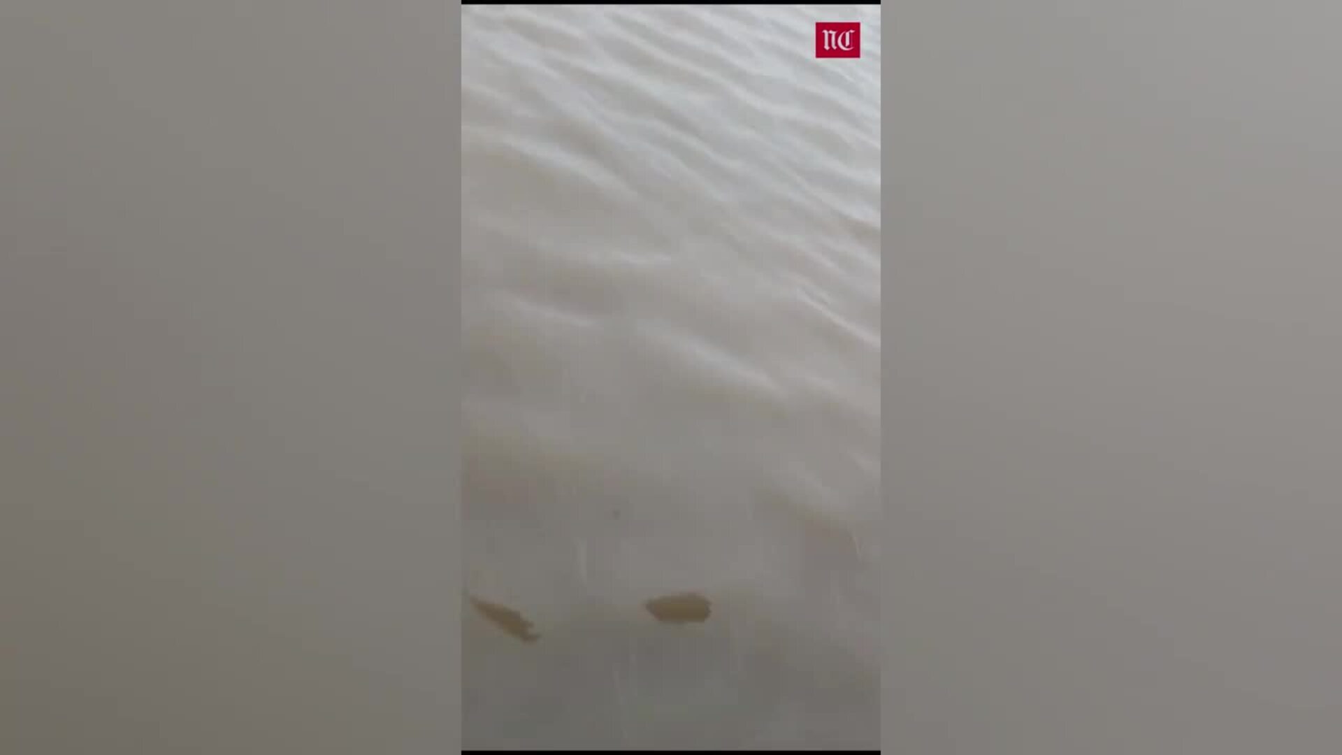 El campo de fútbol de Navas de Oro se convierte en una piscina | El ...