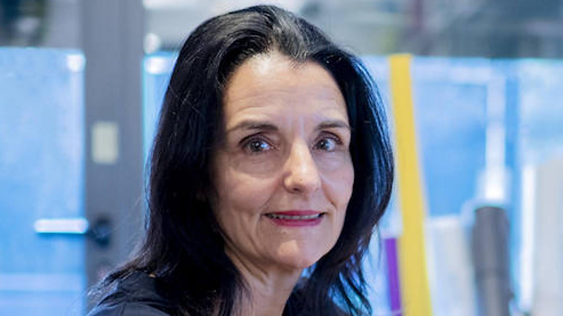 Paz Martín Rodríguez | Arquitecta y codirectora del informe 'Tierras ...