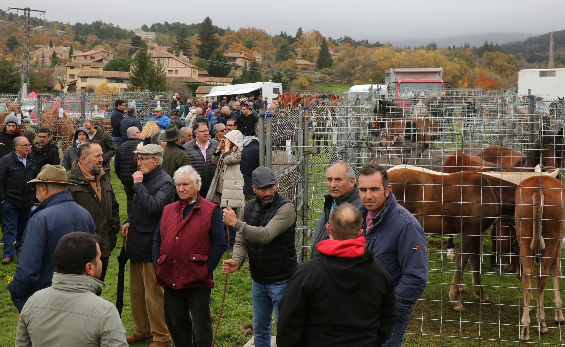 Feria de ganado en Navafría | El Norte de Castilla