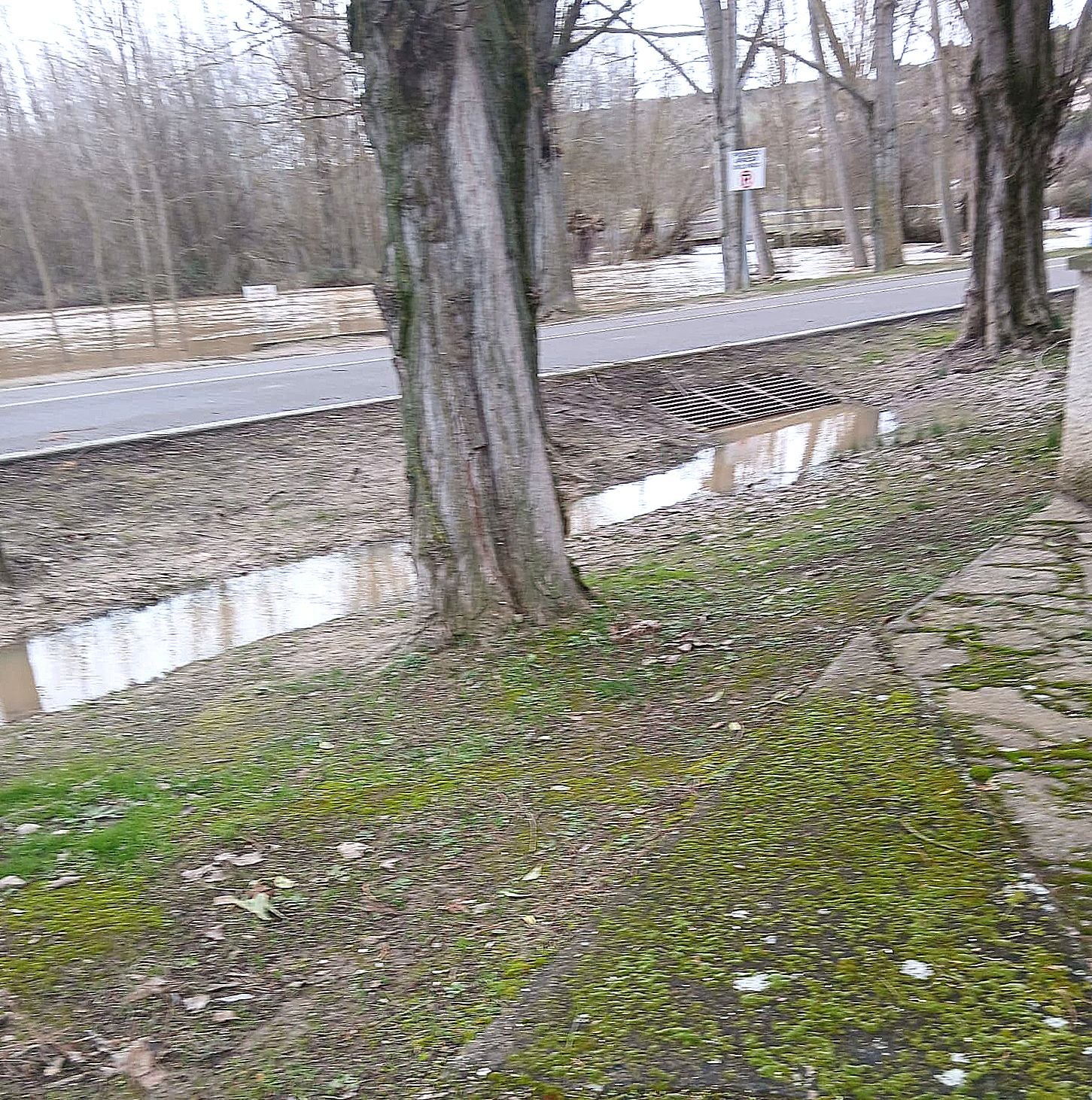 Las imágenes del estado del río Duratón a su paso por Rábano | El Norte ...
