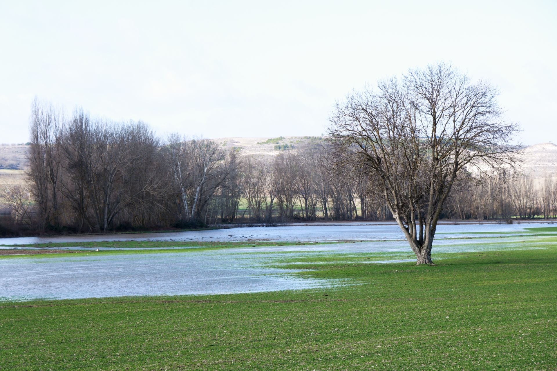 Las imágenes del río Duratón en los municipios de Rábano y Peñafiel ...