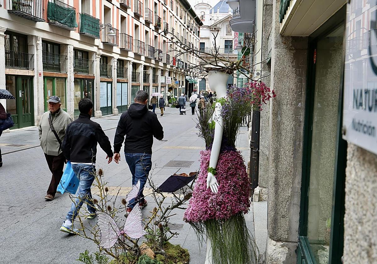 La calle Platerías se convierte en un cuento de hadas floral | El Norte ...
