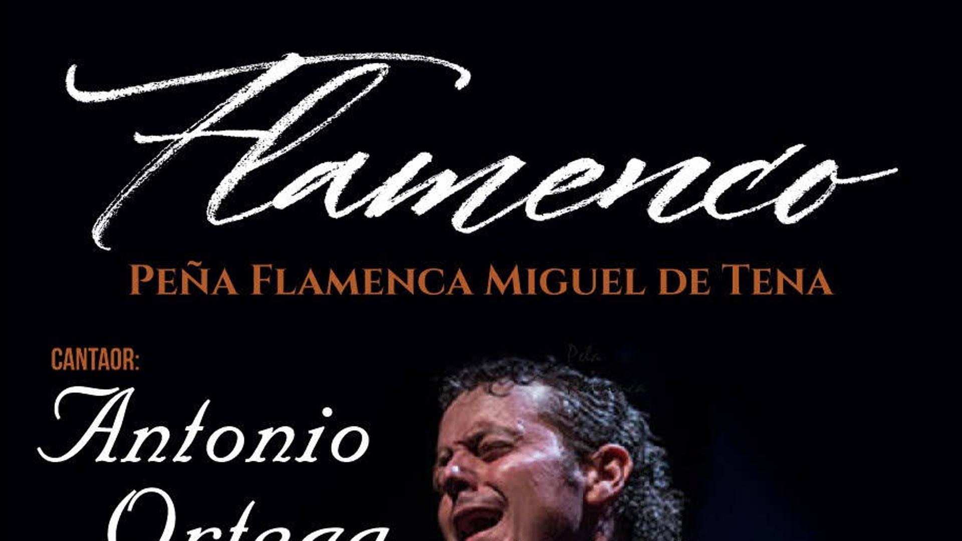 La Peña Manuel de Tena ofrecerá un espectáculo flamenco con el cantaor ...