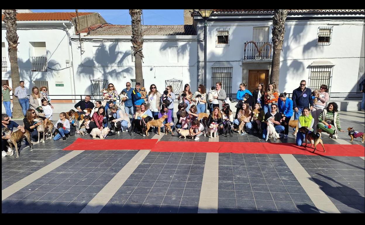 Animales: Amaval celebra la tercera edición del Desfile Canino | Hoy