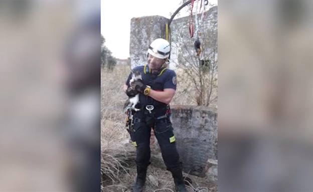 Los Bomberos de Badajoz rescatan a un gato atrapado en un pozo | Hoy Los Bomberos de Badajoz rescatan a un gato atrapado en un pozo | Hoy