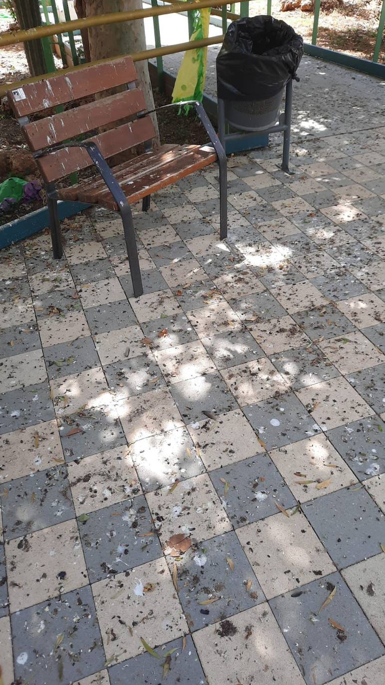 Las 'cagadas de pajaros' en el patio de la residencia se cuela en la ...