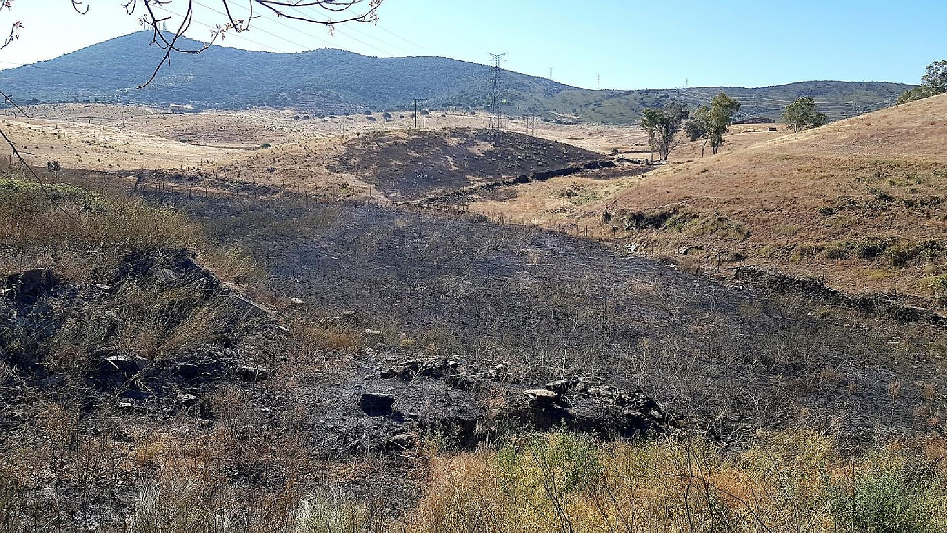 Triple incendio | Hoy