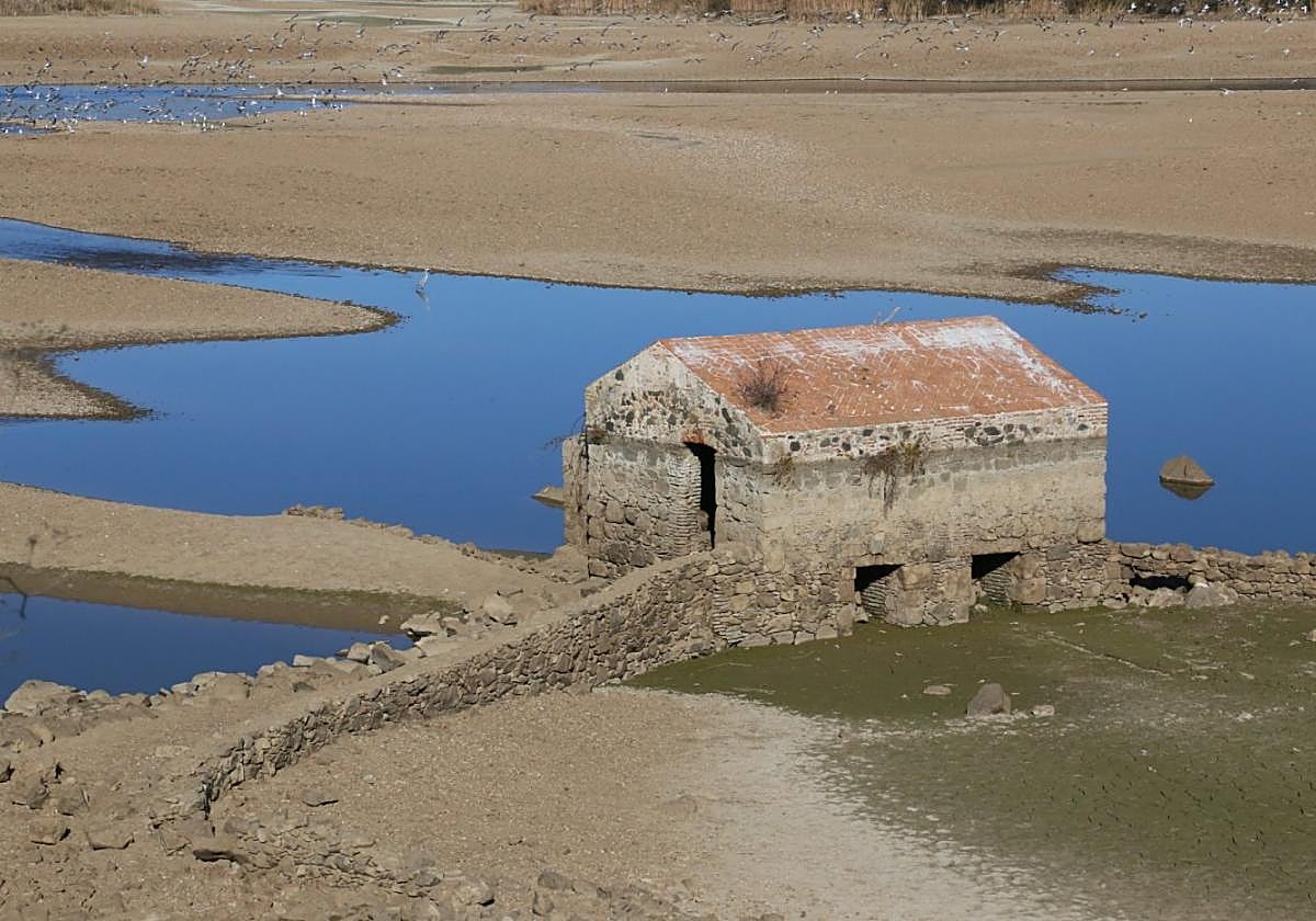 Confederación mantiene el río sin agua entre el azud de la Isla y el ...