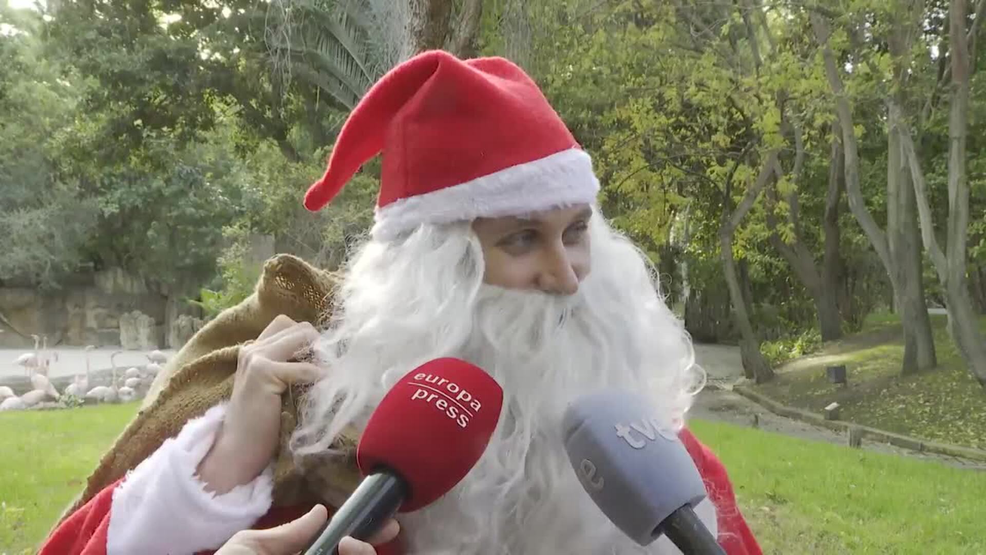 Papa Noel visita Bioparc Valencia para repartir regalos a los animales ...