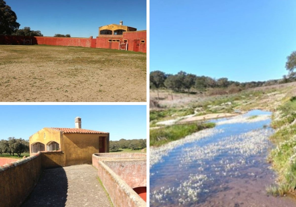 Una figura histórica del toreo pone a la venta su finca en Extremadura ...