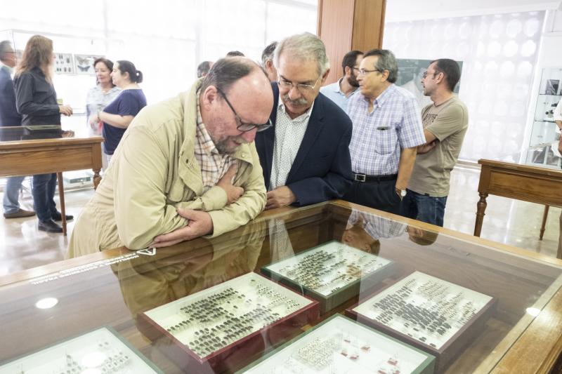 Los insectos que se parecen a las piedras preciosas | Ideal