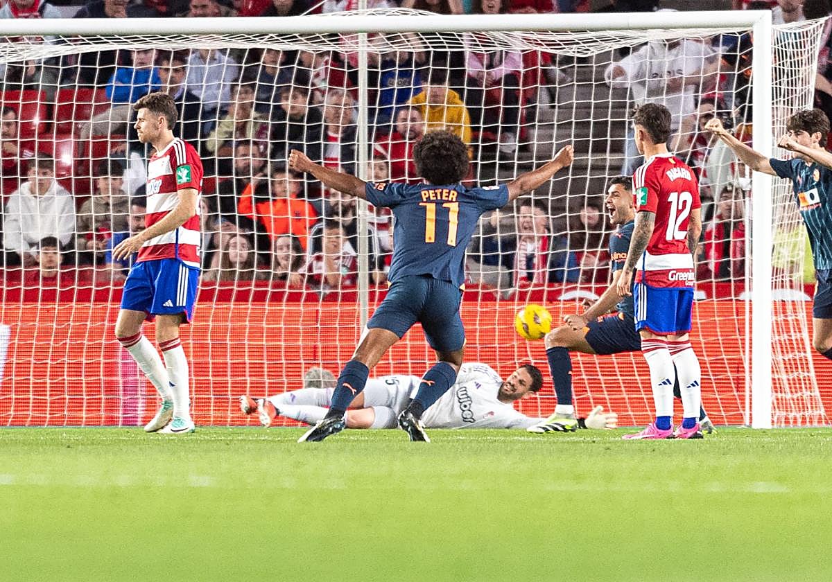 La dignidad no basta | Ideal