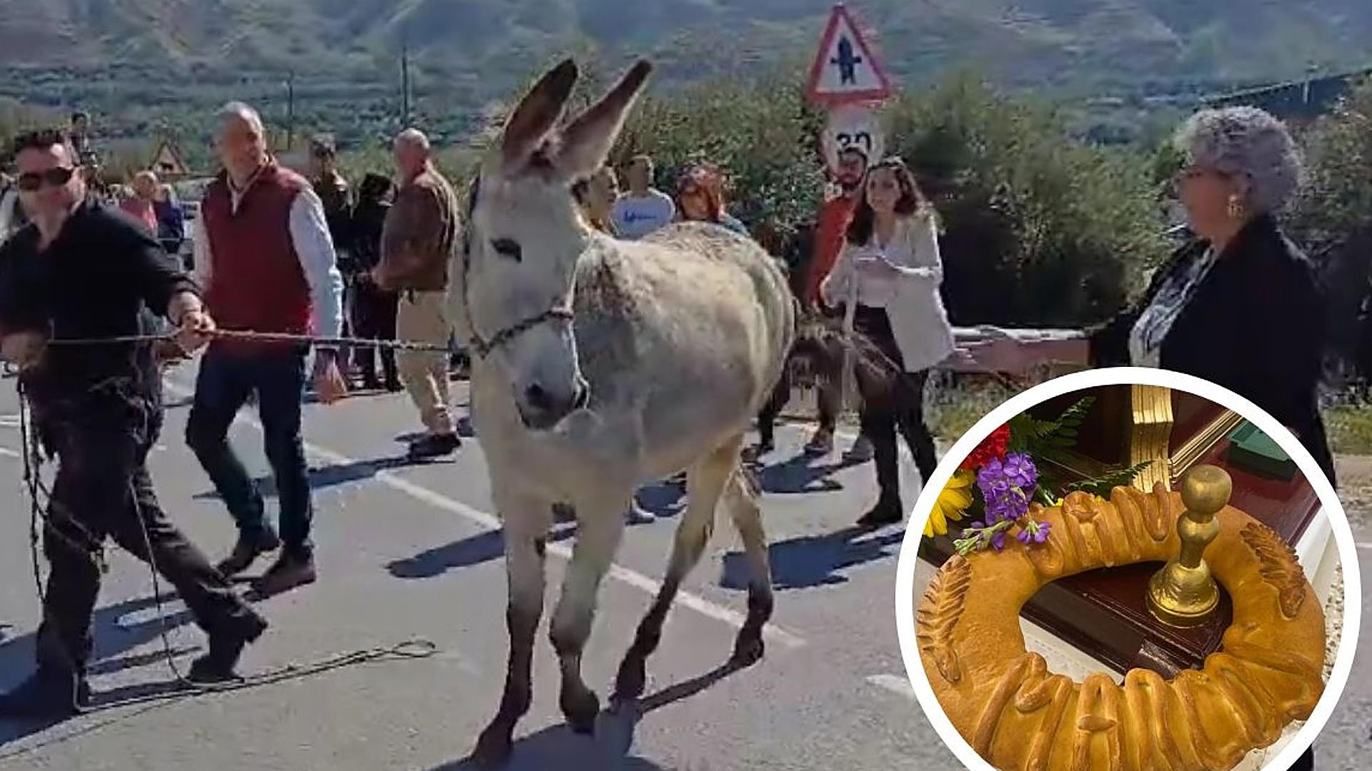 Una burra se 'cuela' e interrumpe la romería de Beas de Guadix: «Olió ...