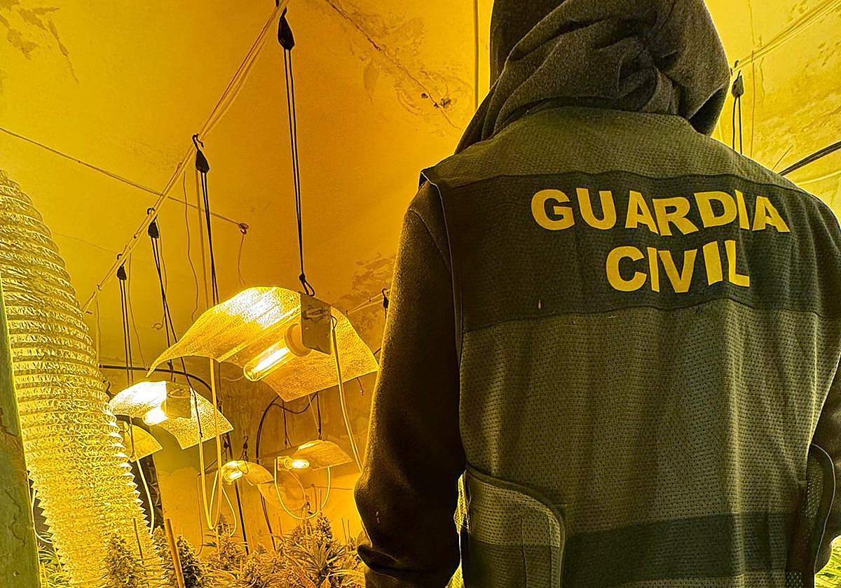 La Guardia Civil desarticula tres centros de producción de marihuana en Villanueva de Mesía | Ideal