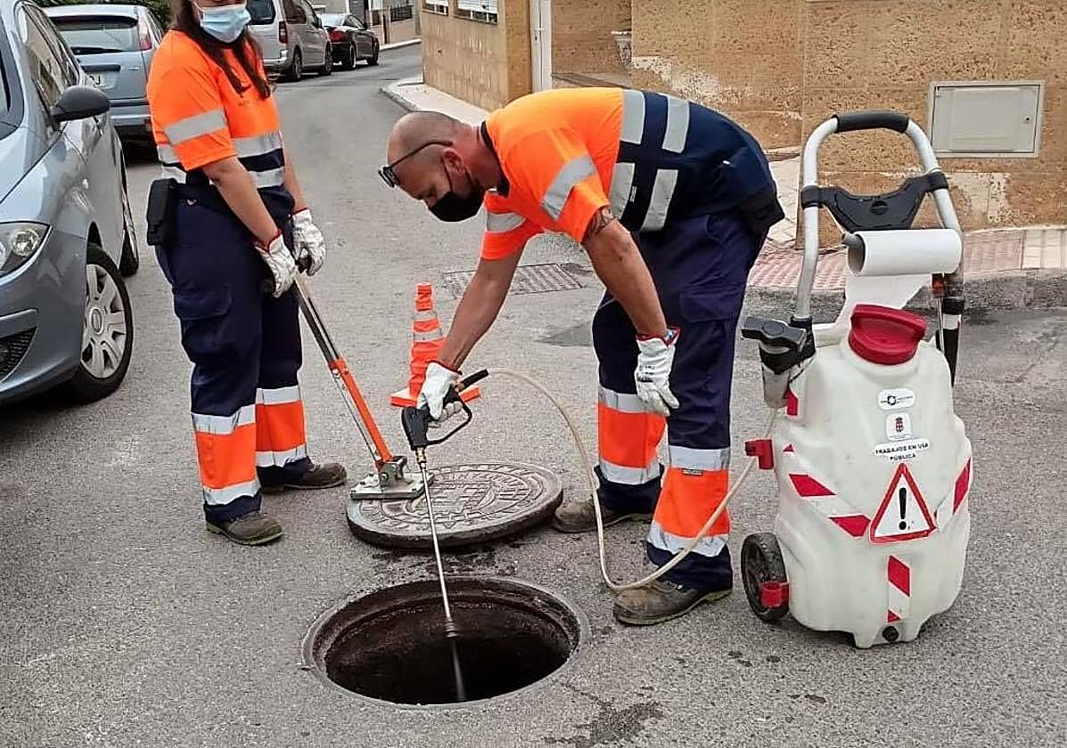 Almería 'se arma' contra las ratas e insectos | Ideal