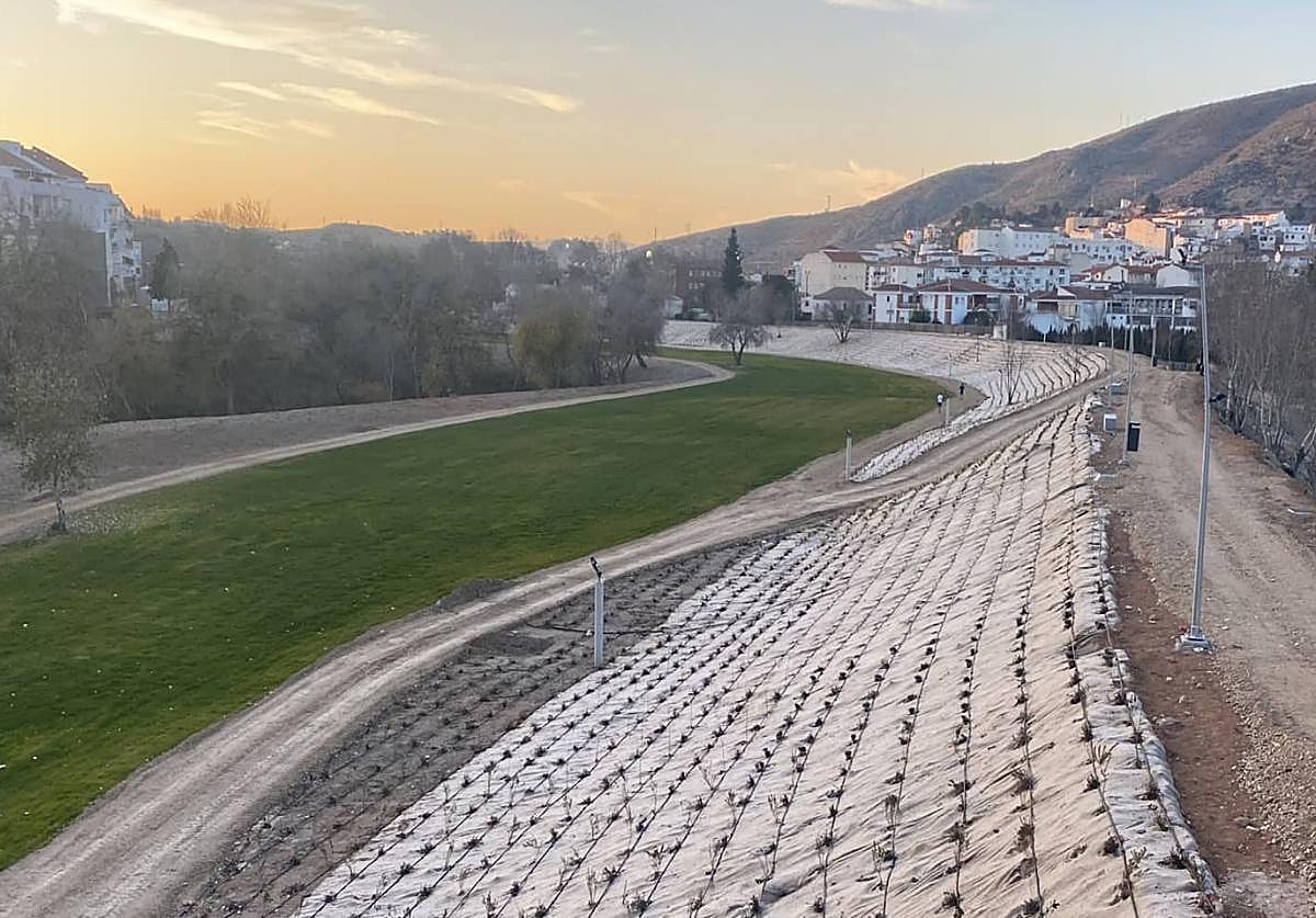 Cinco kilómetros de pulmón verde para disfrutar del río Genil sin ...