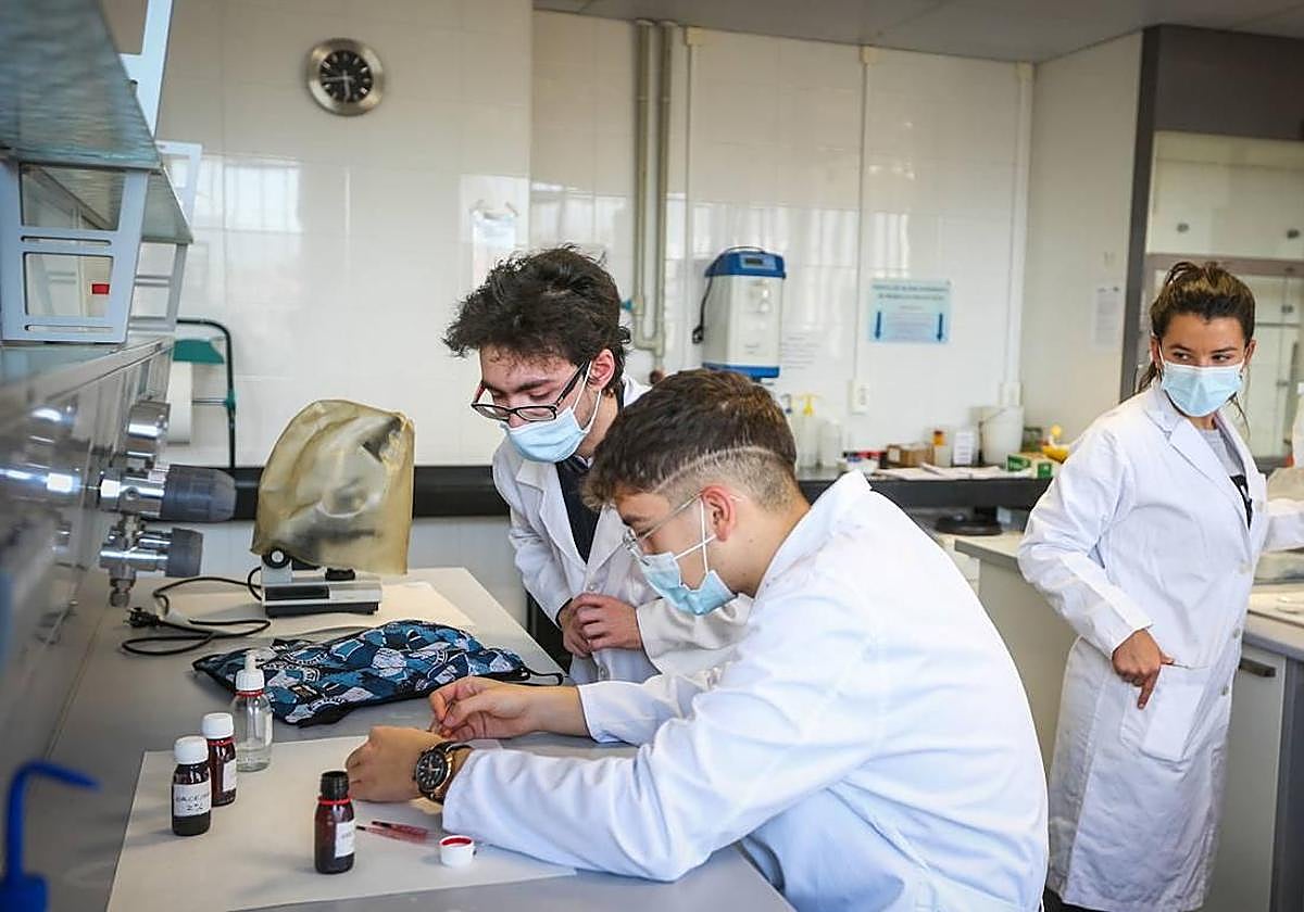 La Facultad de Ciencias necesita más espacio para investigación | Ideal