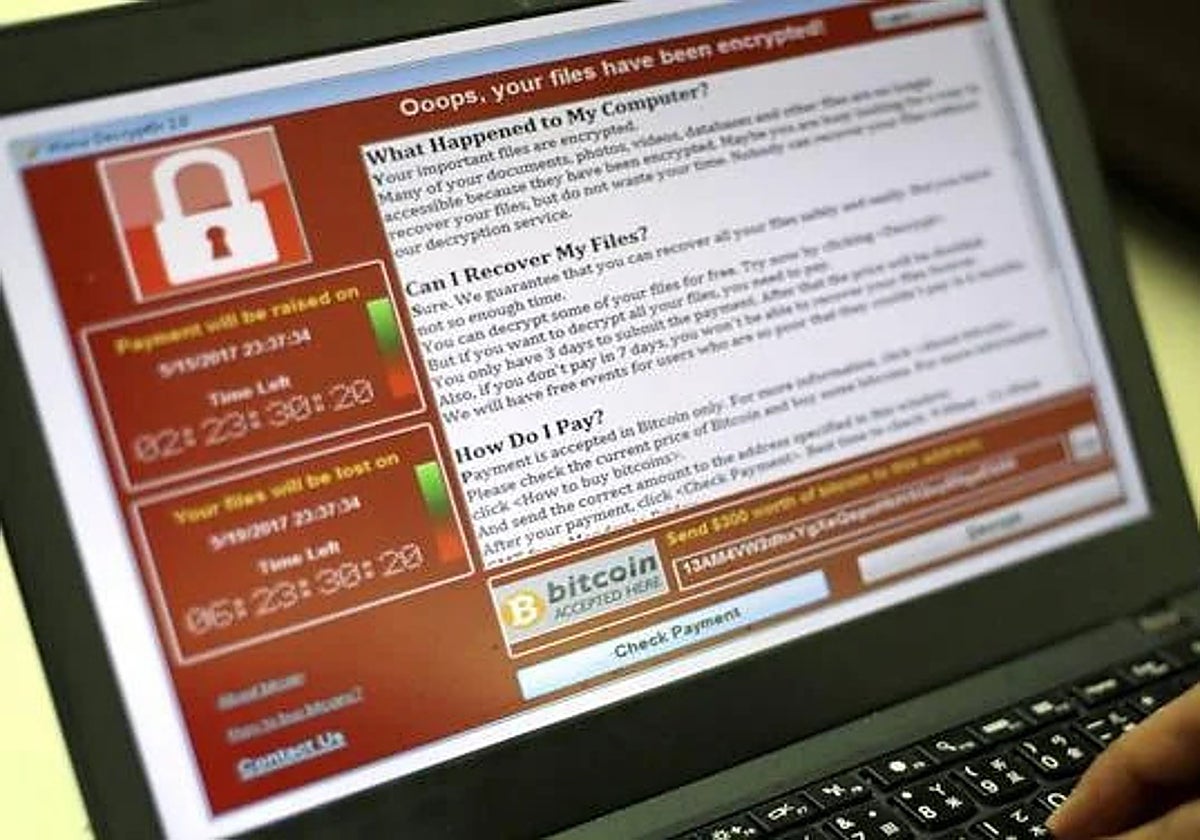 La Oficina Acelera Pyme activa un plan de ciberseguridad para el sector ...