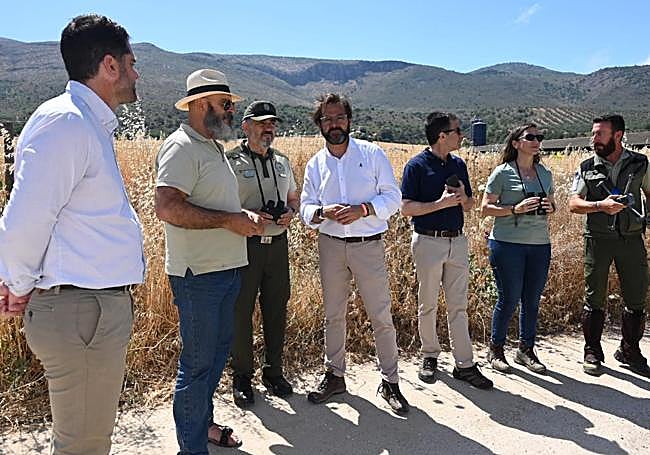 La Junta refuerza en Granada la conservación del aguilucho cenizo con ...