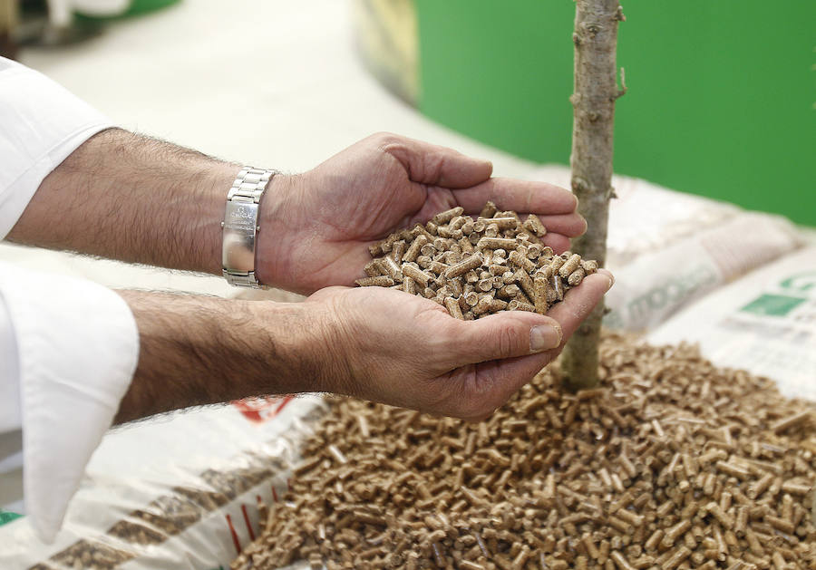 Vegasol, tu mejor aliado para combatir el frío | Ideal