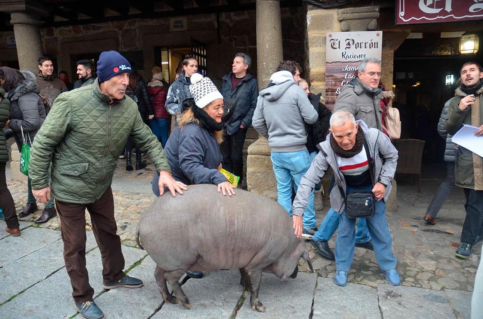 La Alberca celebra entre cámaras la rifa del marrano de San Antón | La ...