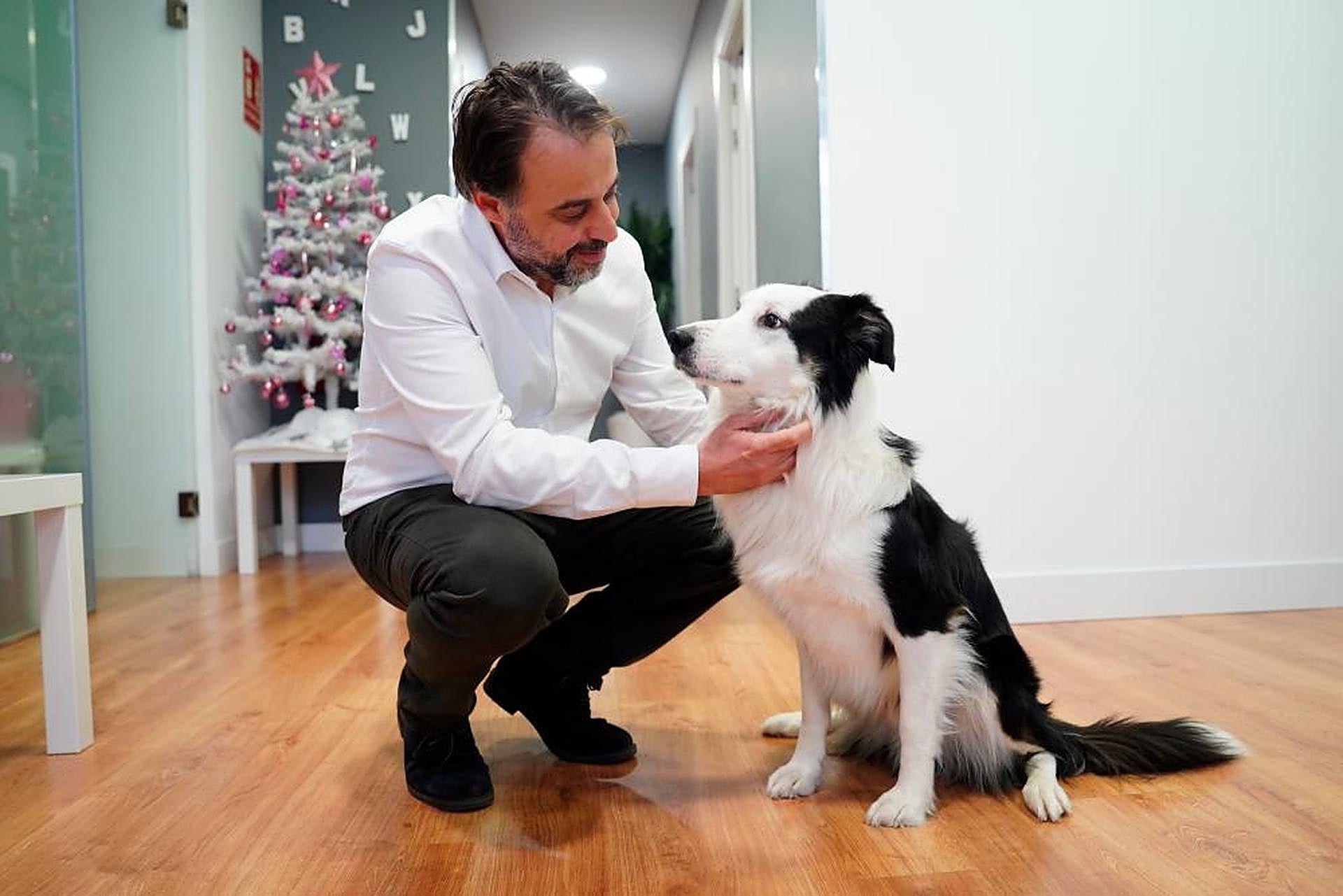 Barrabás, el ‘logoperro’ del concejal Fernando Castaño y de los niños ...