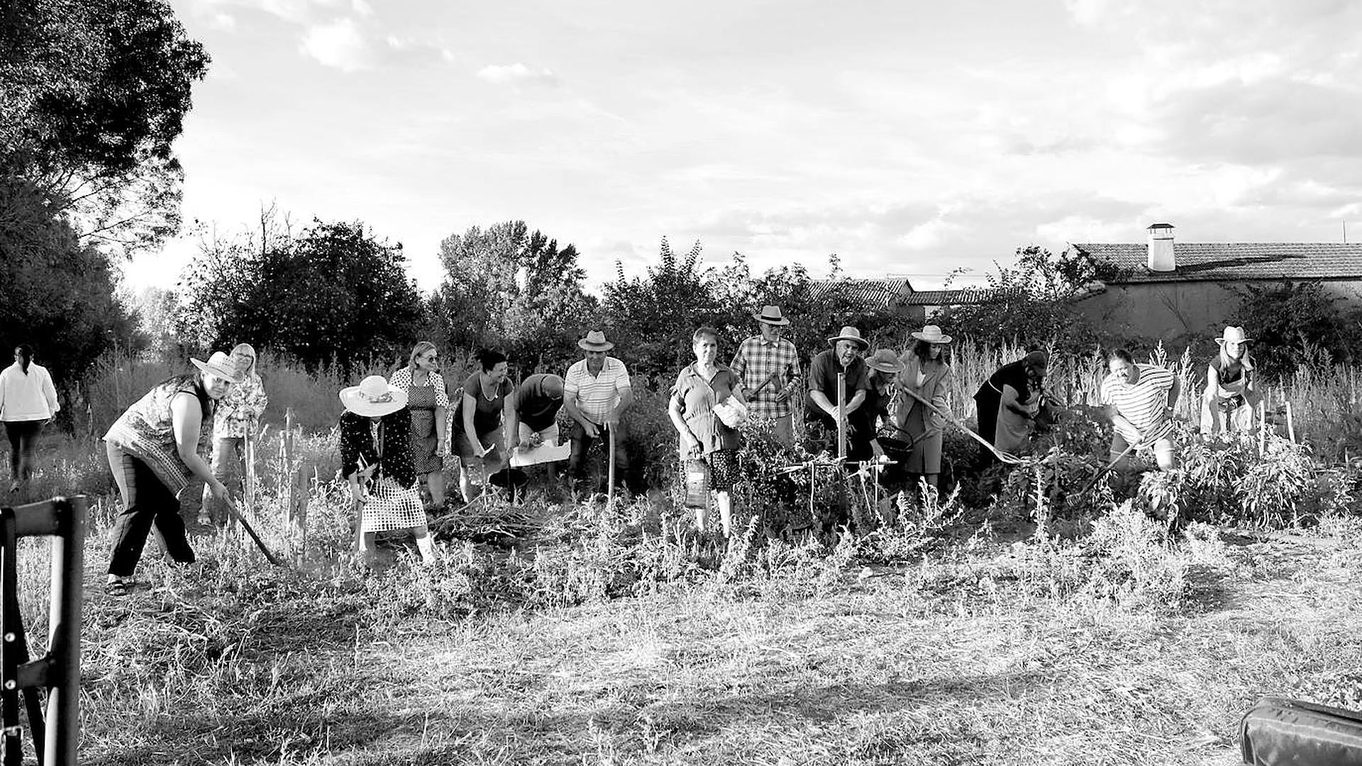 CONCURSO 'Así somos en mi pueblo'. Recolectando en los huertos de Dios ...