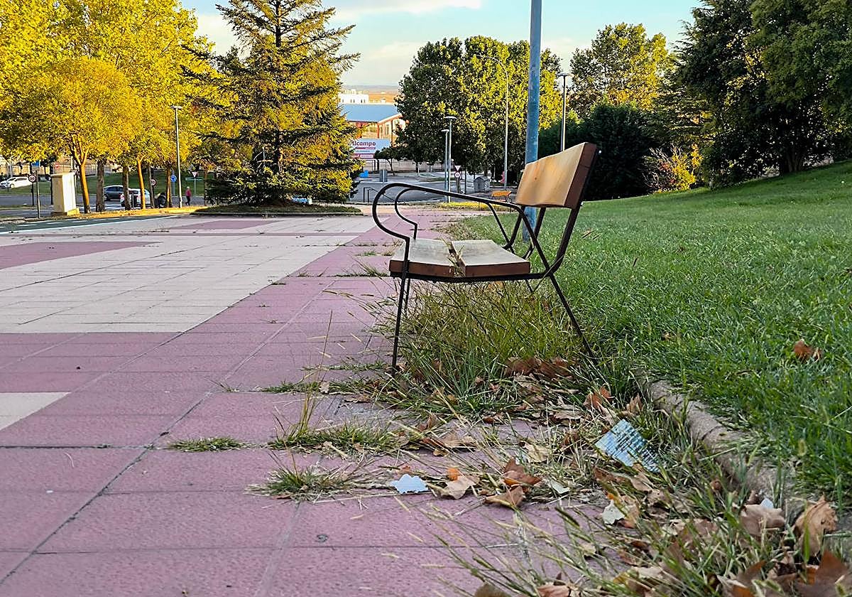 La hierba se come a la acera | La Gaceta de Salamanca