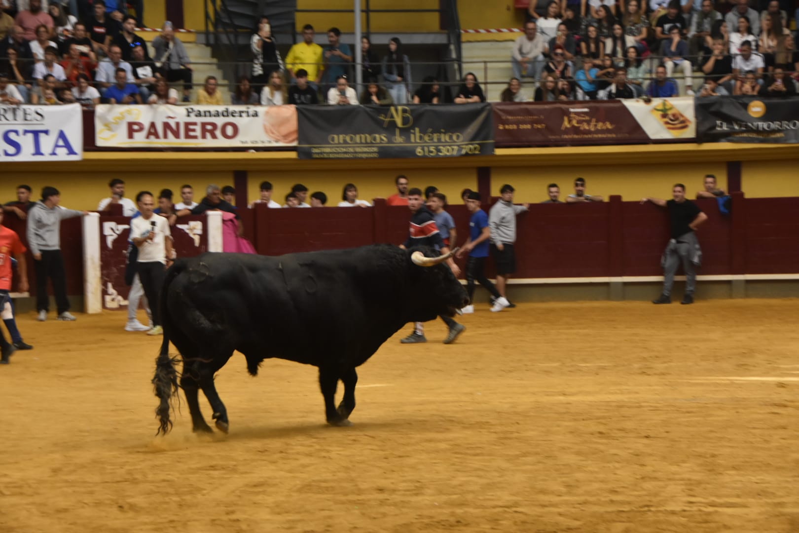 Alba inicia sus fiestas de Santa Teresa con emoción y tradición | La ...