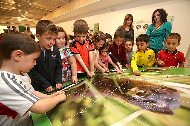 El visón europeo como protagonista | La Rioja