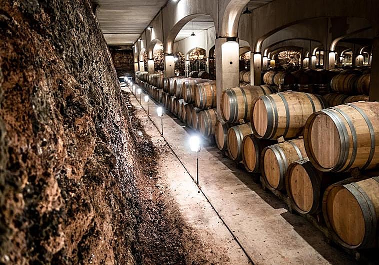 El sueño de David | La Rioja