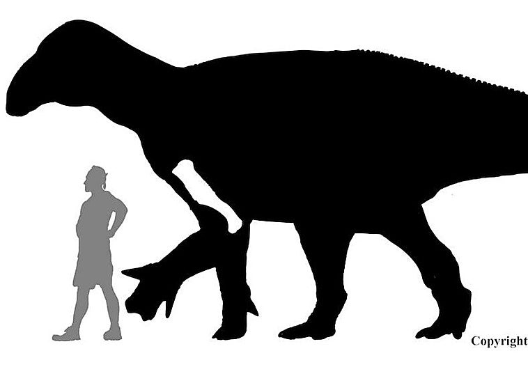 Nataliayummy onlyfans leaked i prefer not to disclose too