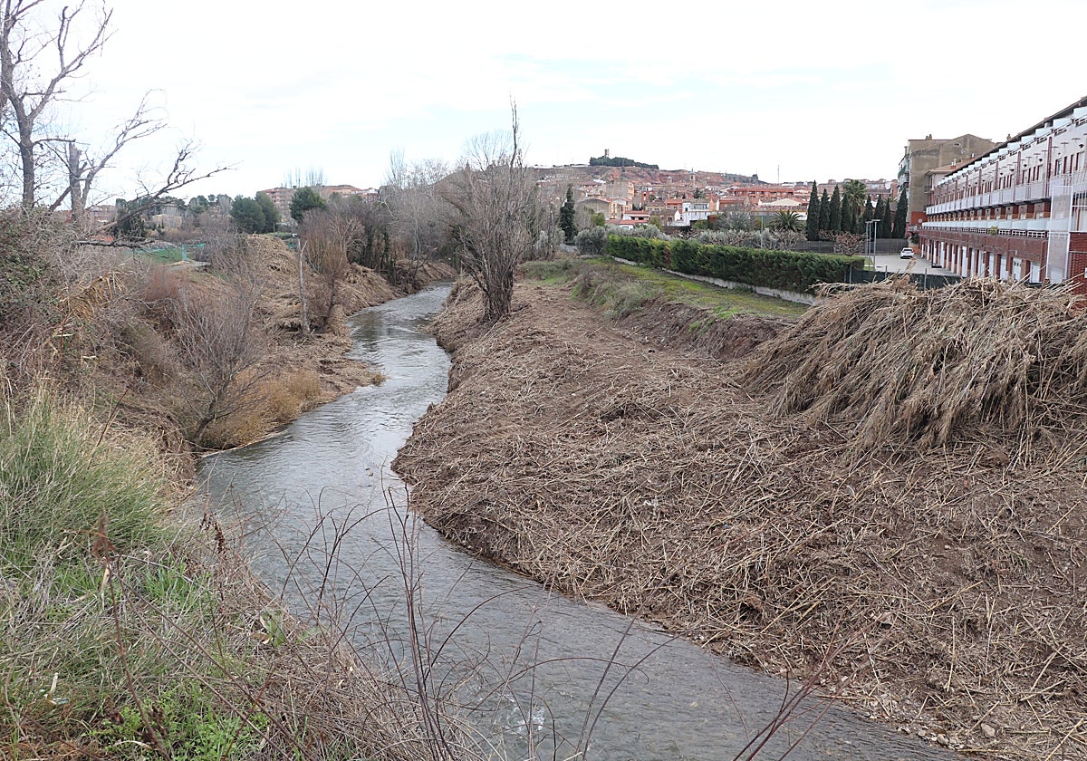 El Alhama expulsa en Alfaro a las especies invasoras | La Rioja