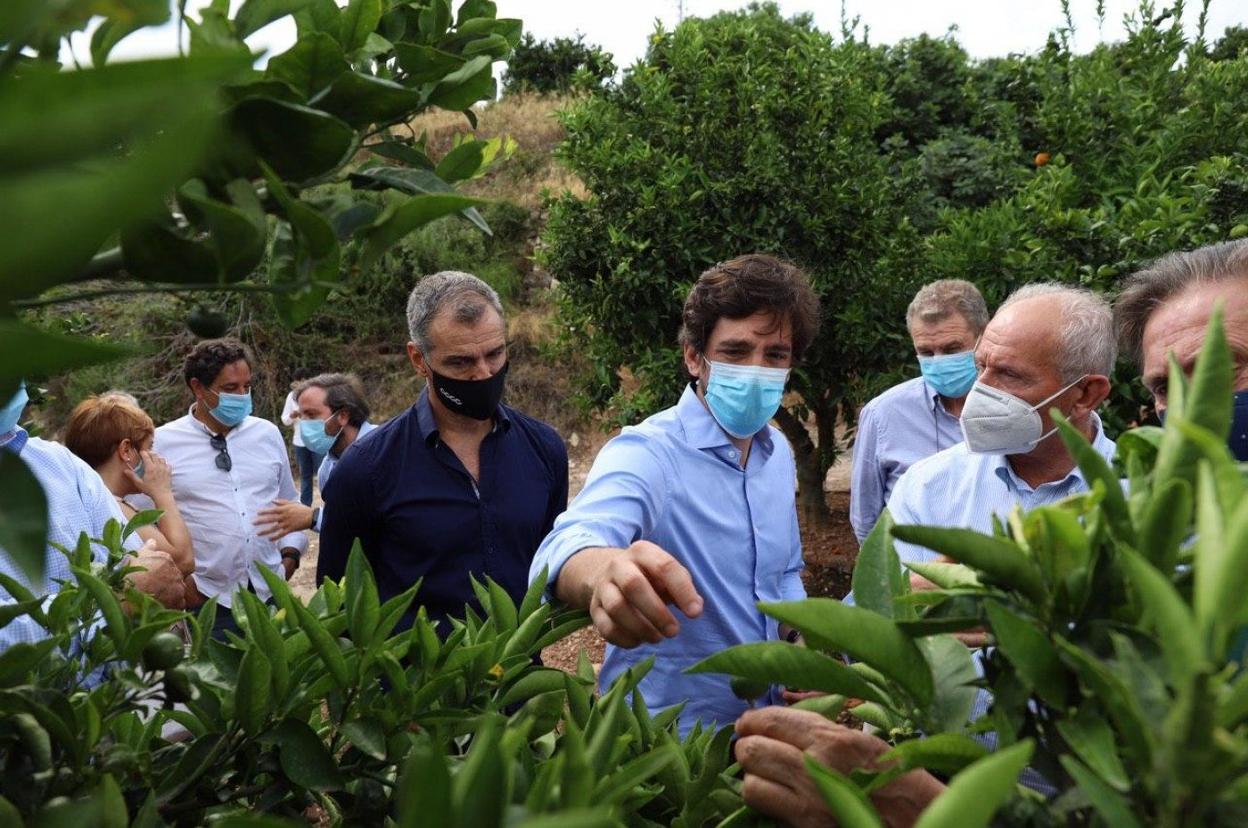 Ecologistas radicales quieren que se eliminen los azudes del Turia ...