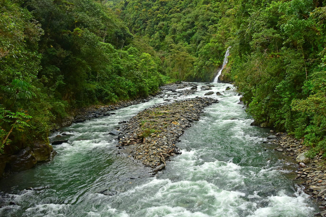 Fotos: Las increíbles especies descubiertas en un valle escondido de ...