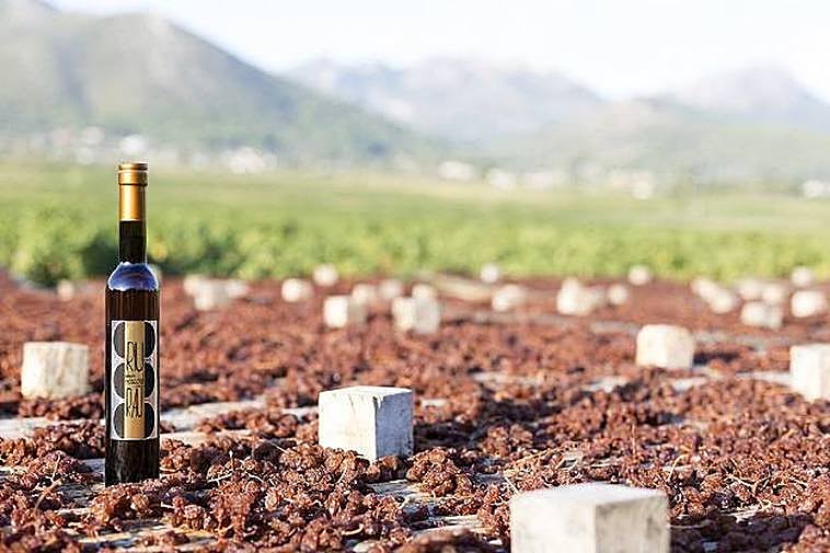 Bodegas Xaló, la cuna del Moscatel | Las Provincias