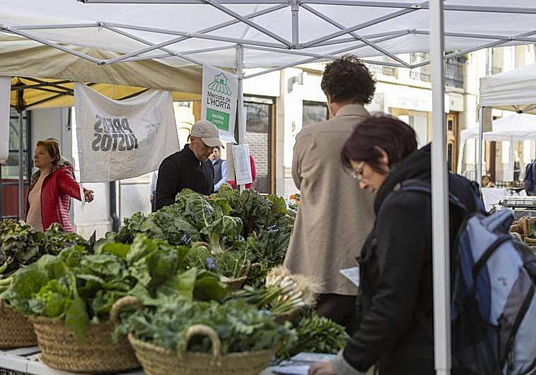 Los dos mercadillos agrícolas de este fin de semana en Valencia: dónde ...