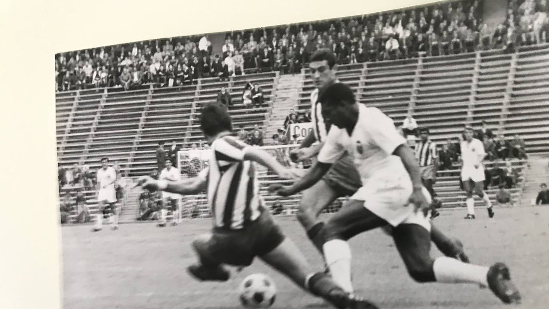 Valencia CF | Los duelos a cara de perro entre Waldo y Griffa | Las ...