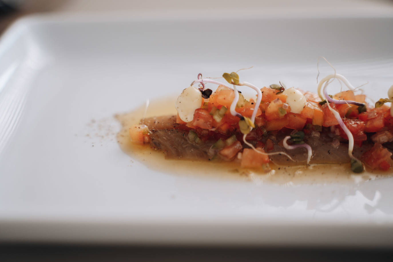 Gastroplan 2023: Sailor Fish Bar | Las Provincias