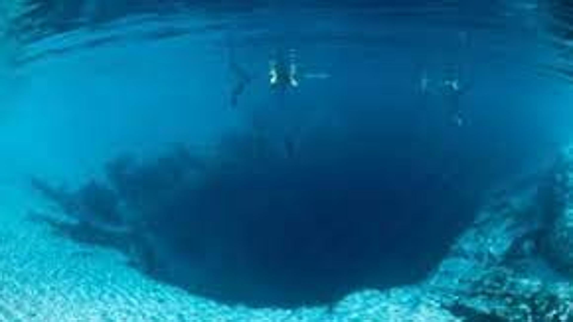 Fosa de las Marianas | Descubren un virus desconocido en el lugar más ...