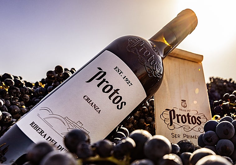 Protos Crianza 2019, el vino perfecto para el otoño | Las Provincias