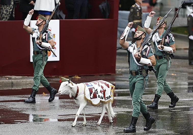 Un borrego pasea como cabra de la Legión en el desfile el 12 de octubre ...