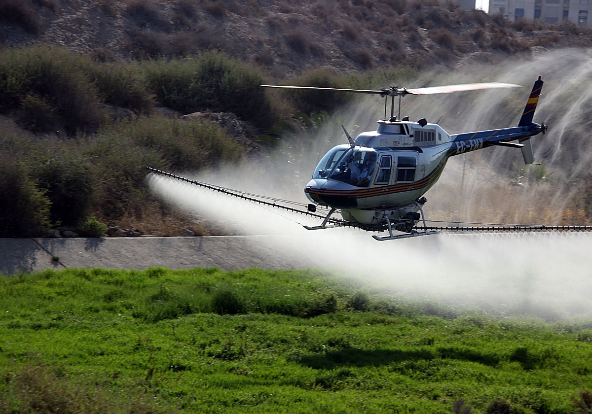 Alzira cuestiona la eficacia de las fumigaciones para combatir al ...