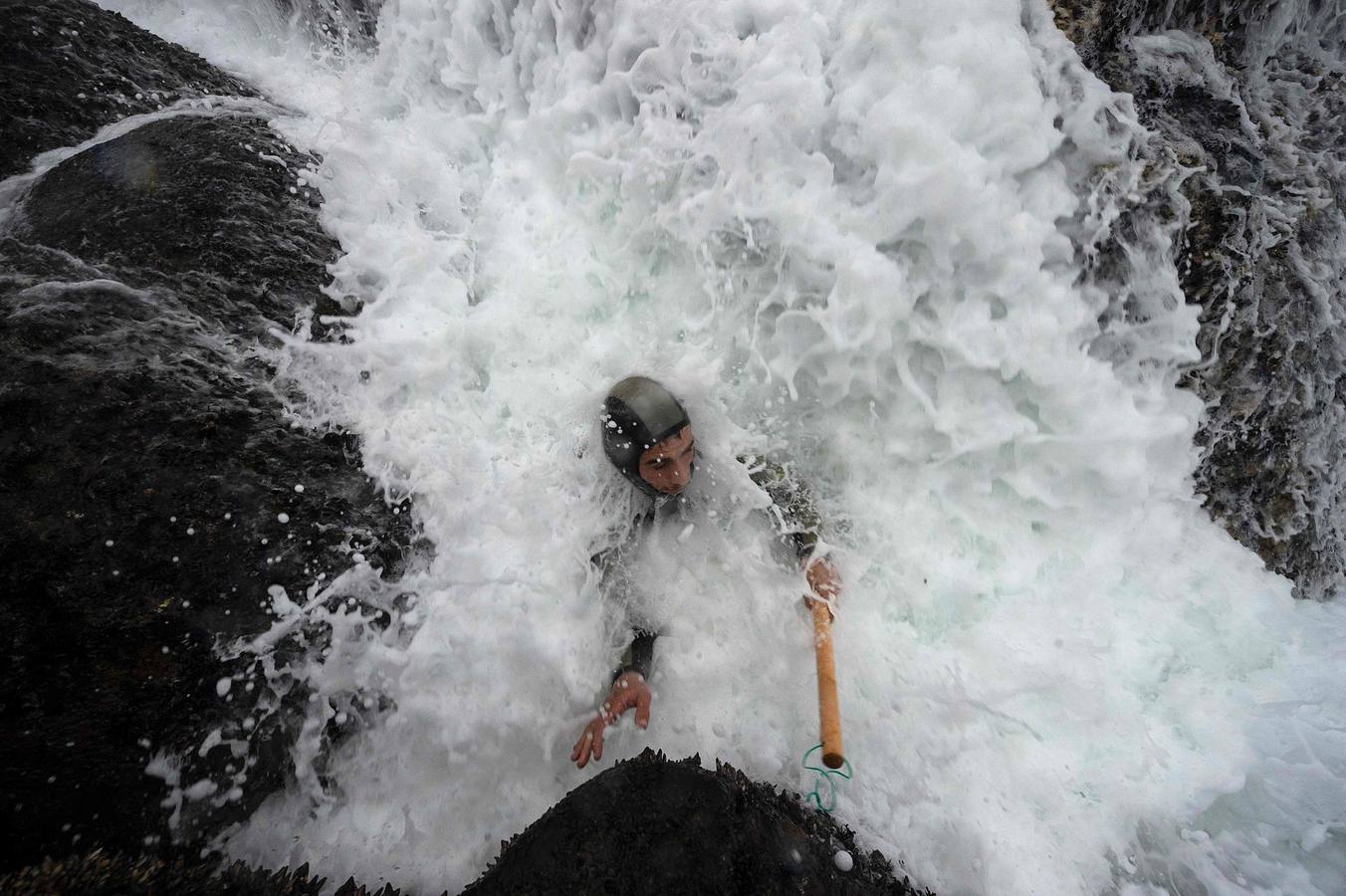 Fotos: Guerreros percebeiros | La Verdad