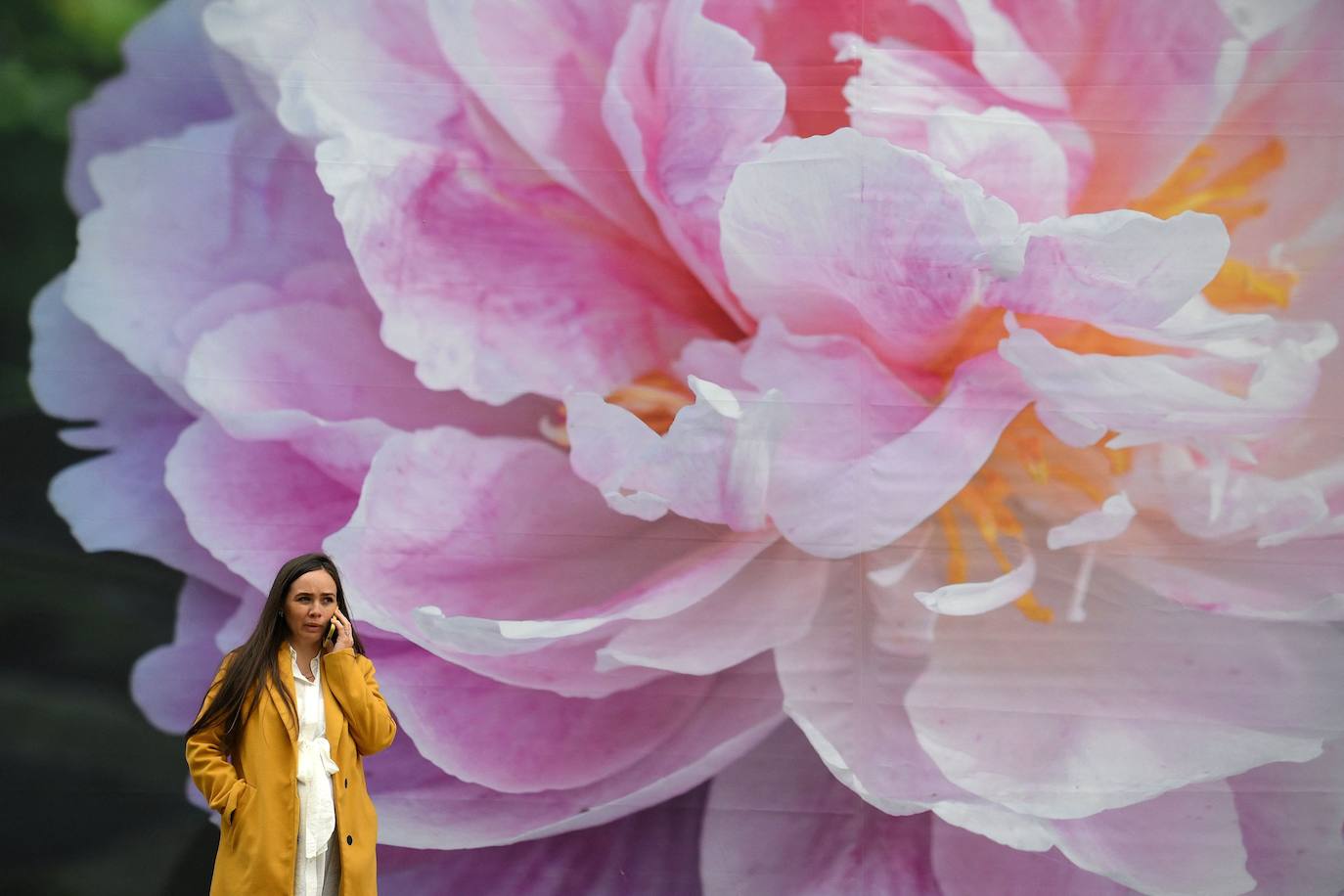 Fotos: Festival de Flores de Chelsea | La Verdad