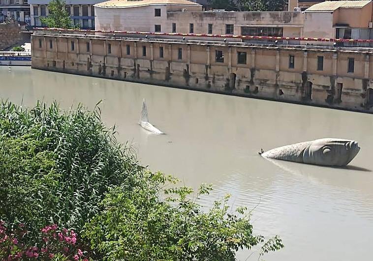 La sardina del río Segura en Murcia echará agua con un horario limitado ...