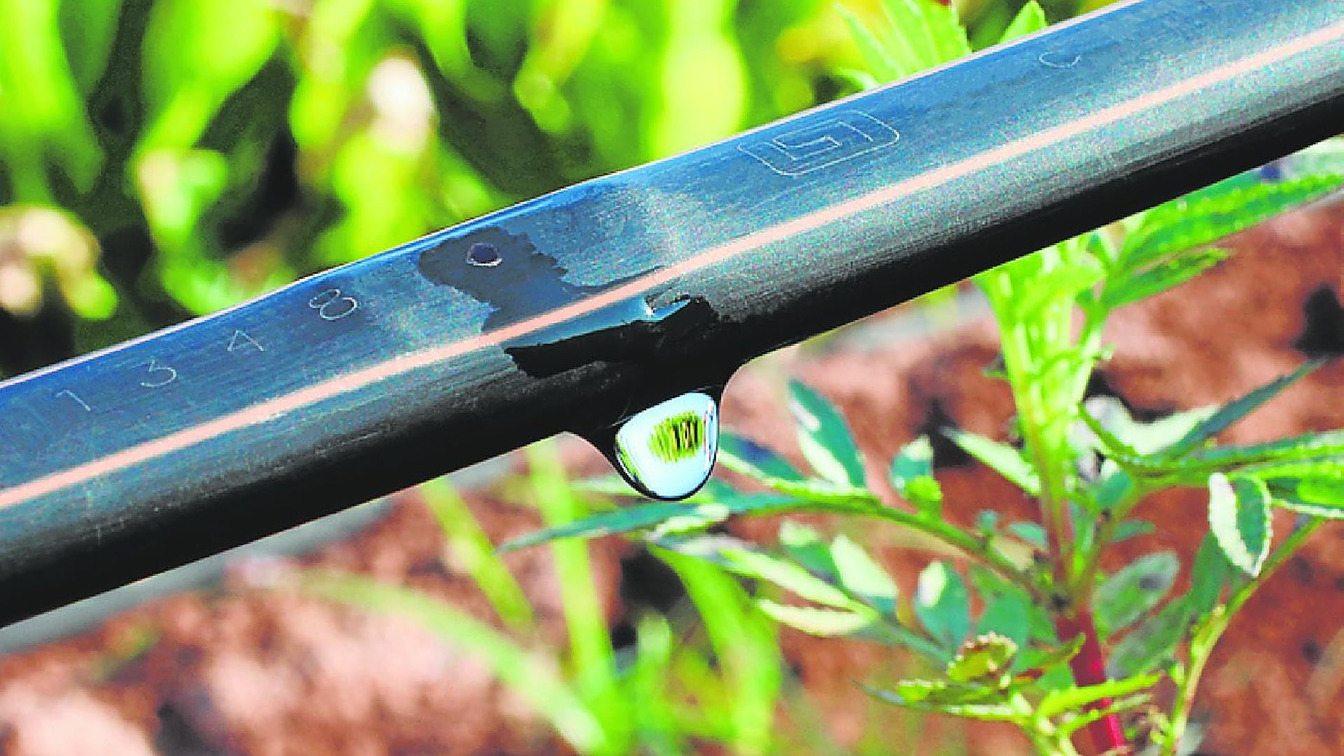 Regaber introduce con puntería la innovación en los sistemas de riego ...